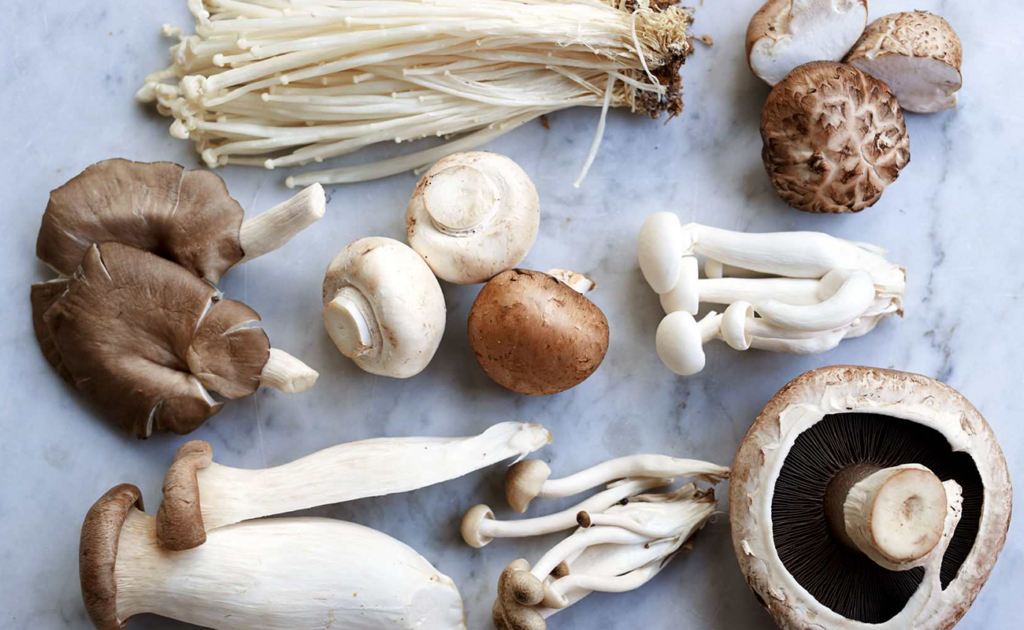 Know Your Mushrooms: Understanding the Effects of Different Mushroom ...